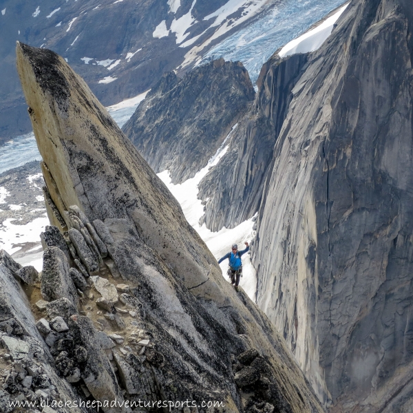 Best of the Bugaboos - BlackSheep Adventure